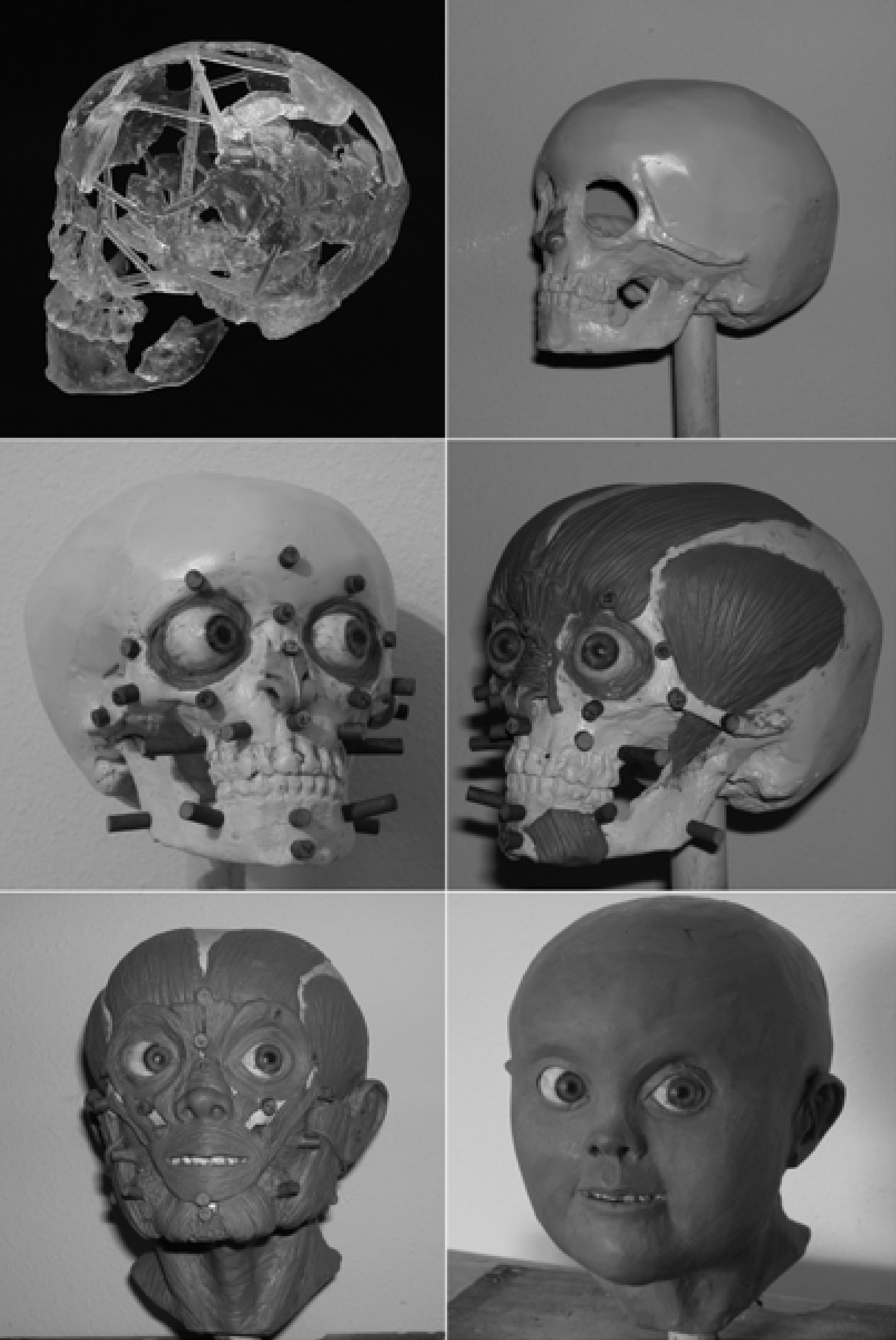 LAPEDO - THE CHILD OF TWO WORLDS - Ancient History X