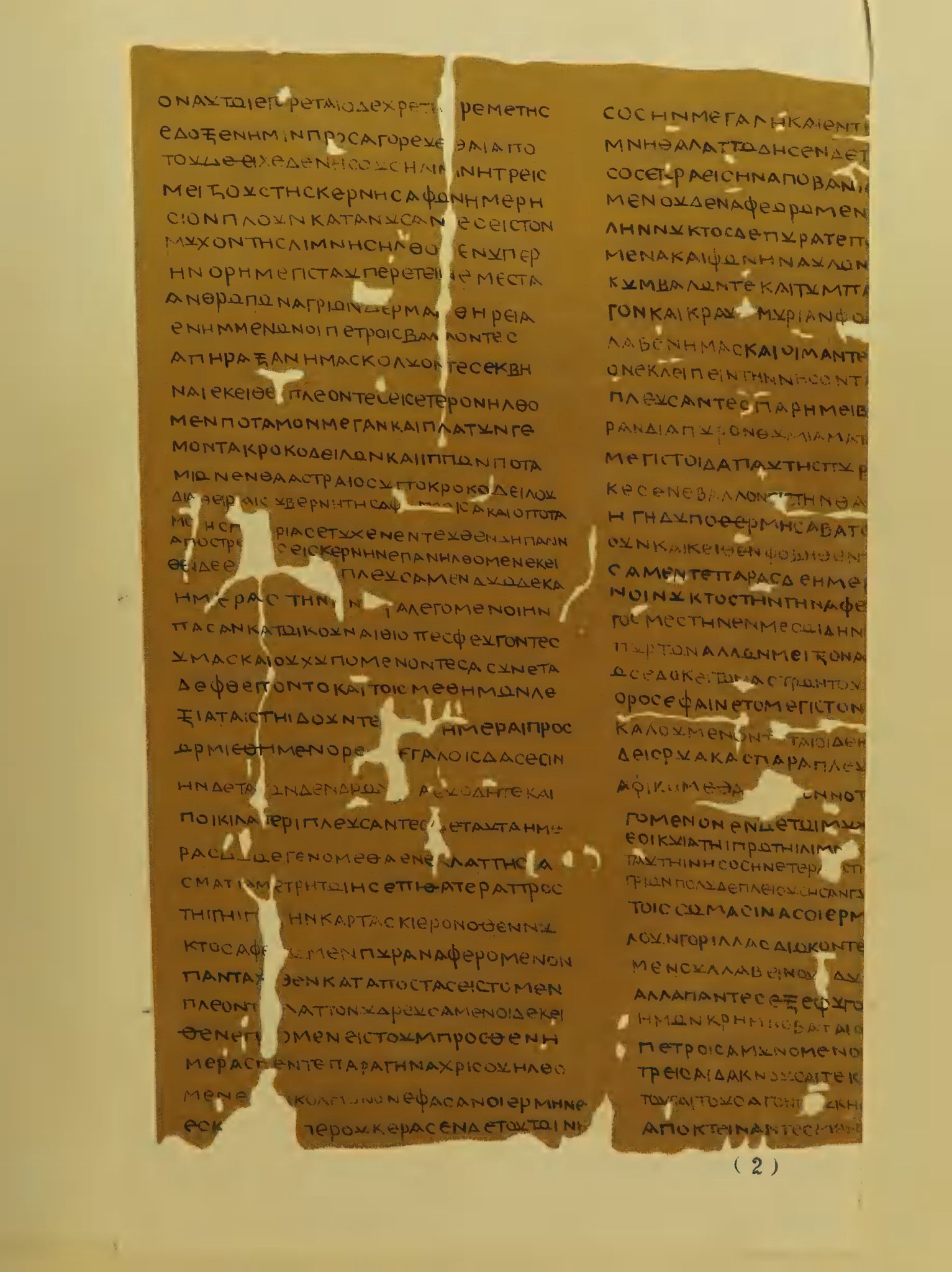 The Periplus of Hanno: A Carthaginian Odyssey into the Unknown