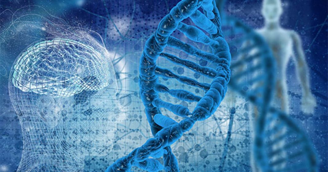 Ghost Population Spirited Human Intelligence - Ancient History X