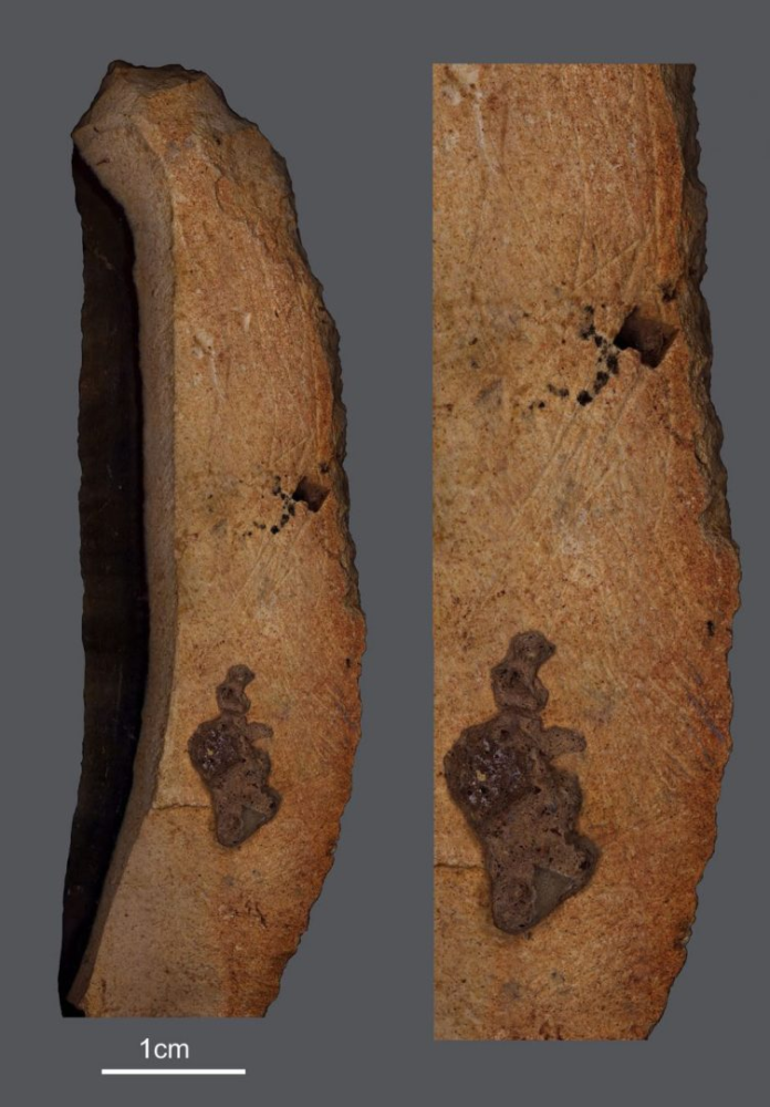 Marks of Meaning: Engraved Artefacts and the Illusion of Proto ...