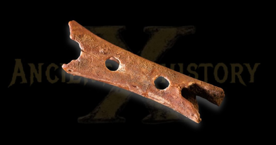 Origins of the Flute: A Legacy From the Stone Age - Ancient History X