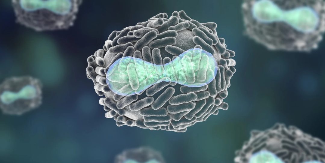 Pathogens, Not Conquistadors: Disease Felled the Aztecs - Ancient History X