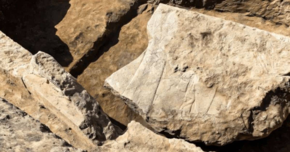 Rare Assyrian Royal Sculpture Unearthed at Nineveh - Ancient History X