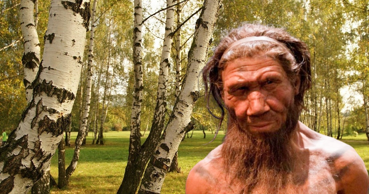 Neanderthal Science: Birch Bark Glue - Ancient History X