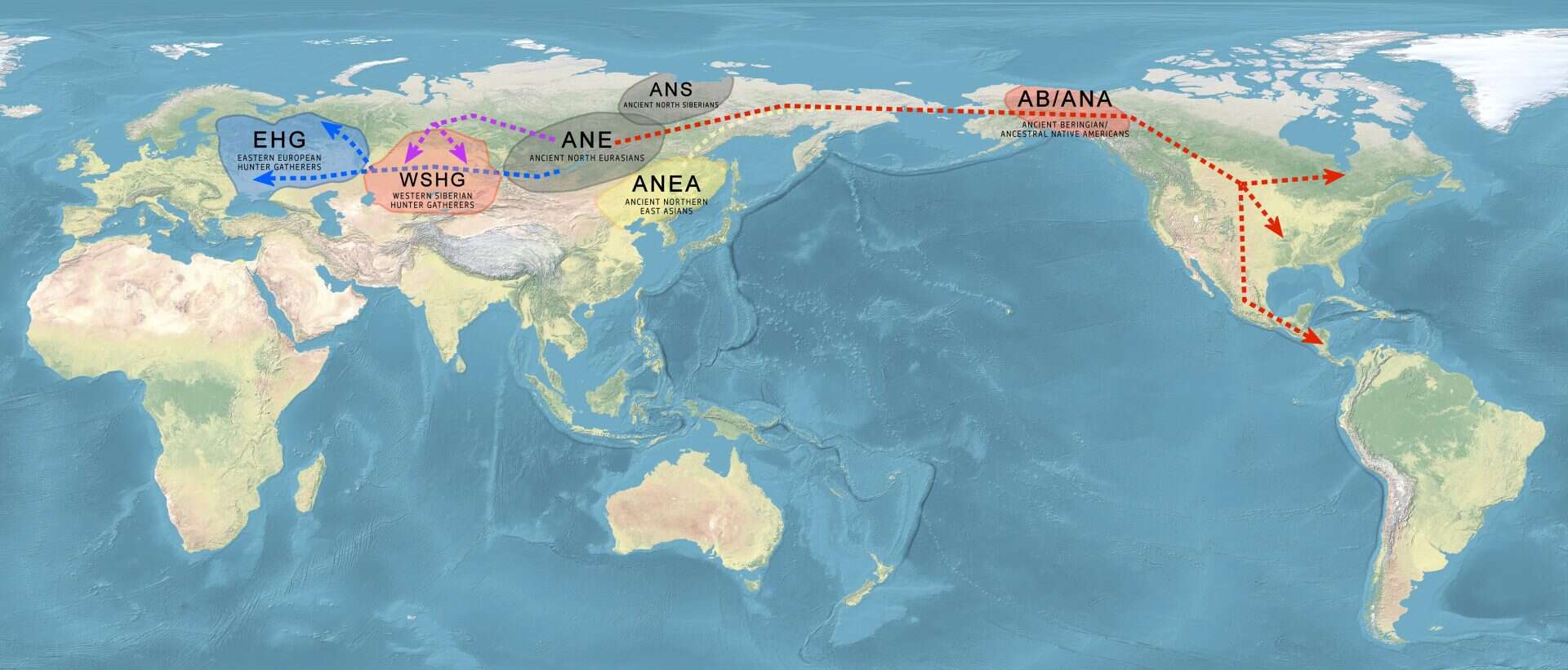 The Olmec: Descendants of the Ma’lt Peoples of Siberia - Ancient History X
