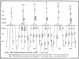 Quipu: Incas Ancient Knotted Codex - Ancient History X