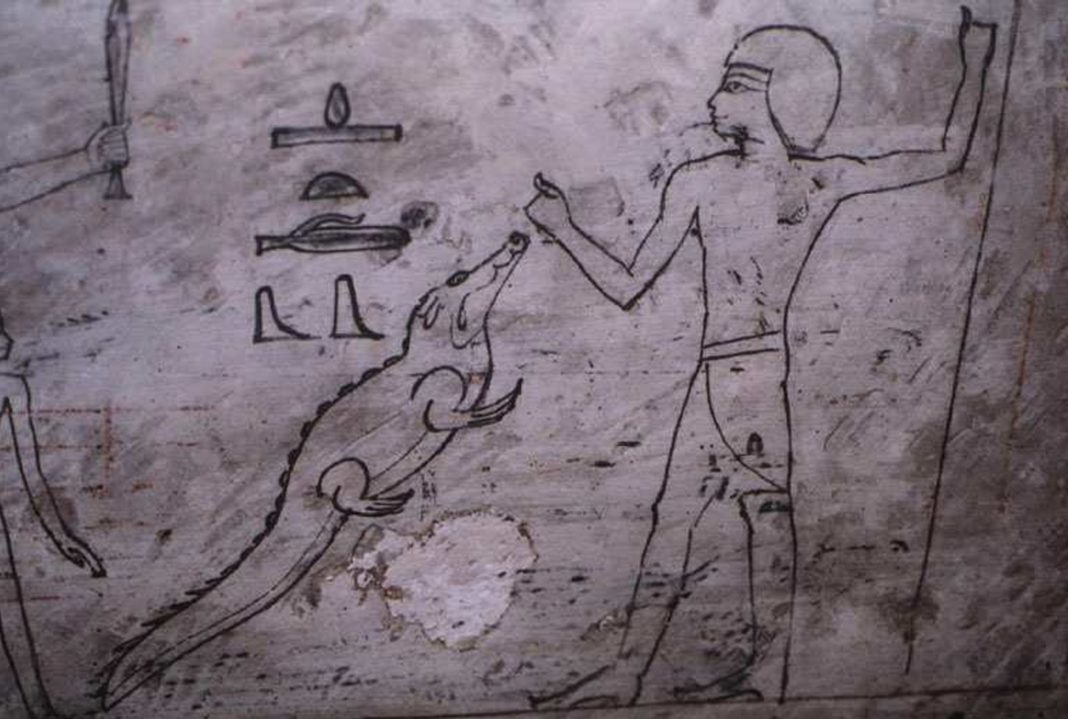 Senenmut’s Star Map: Unlocking Cosmic Secrets of Ancient Egypt ...