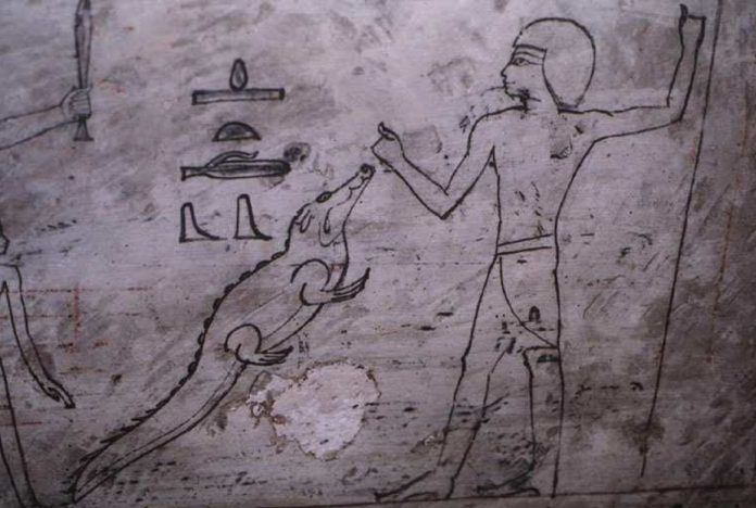 Senenmut’s Star Map: Unlocking Cosmic Secrets of Ancient Egypt ...