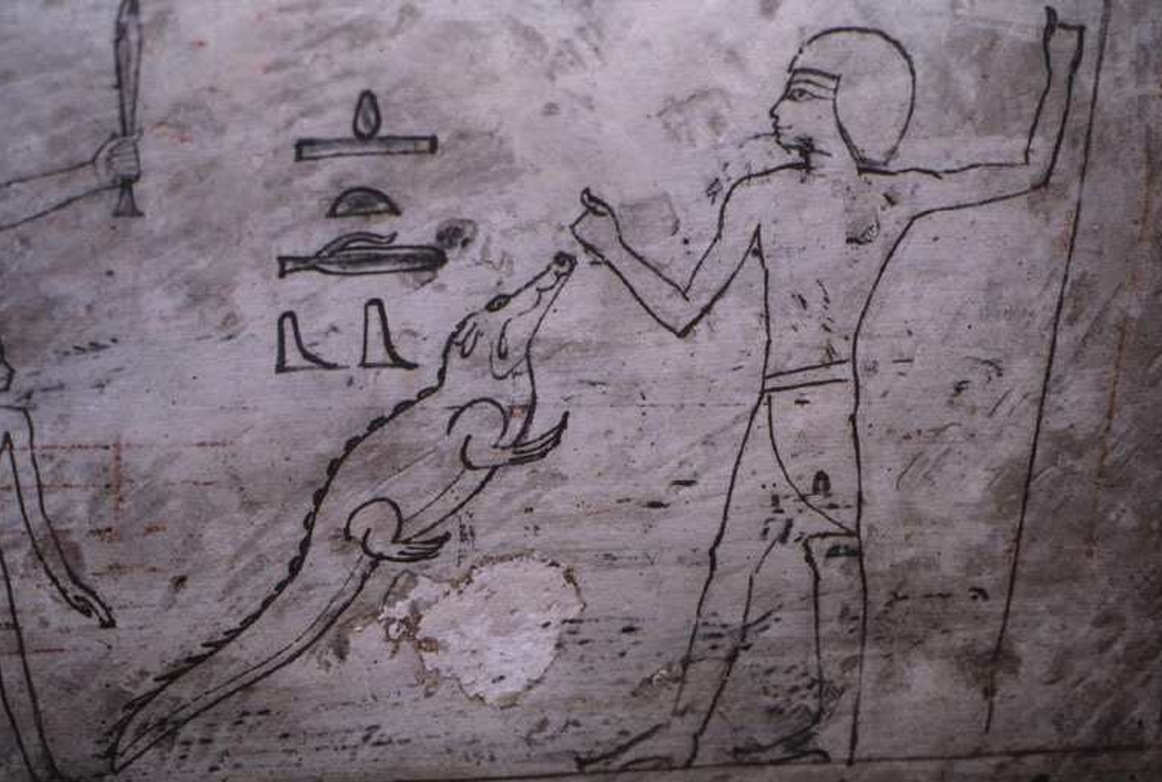 Senenmut’s Star Map: Unlocking Cosmic Secrets of Ancient Egypt ...