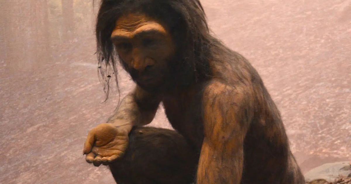 Ancient Fossils in China Hint at New Human Species - Ancient History X